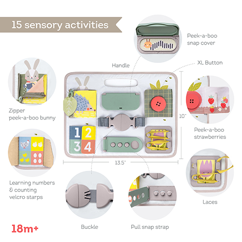 Activity Buckles Board | Taf Toys
